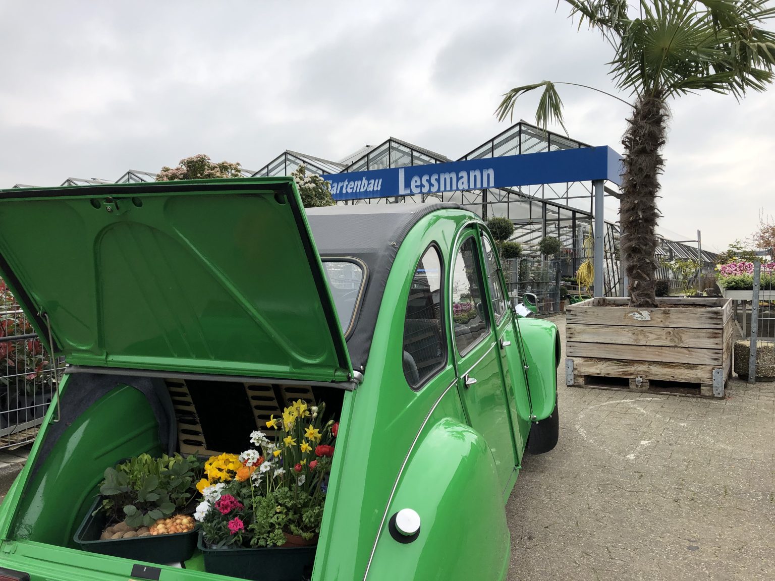 Drive in bei Lessmann – Gartenbau Lessmann